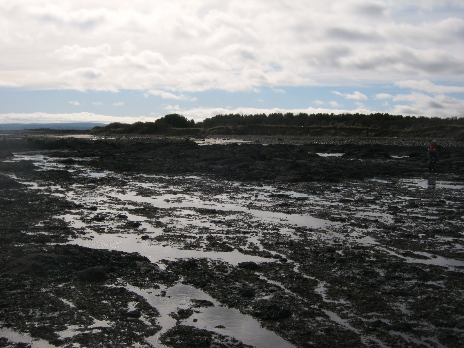 coastrider: Spring Tides Beach Rides...