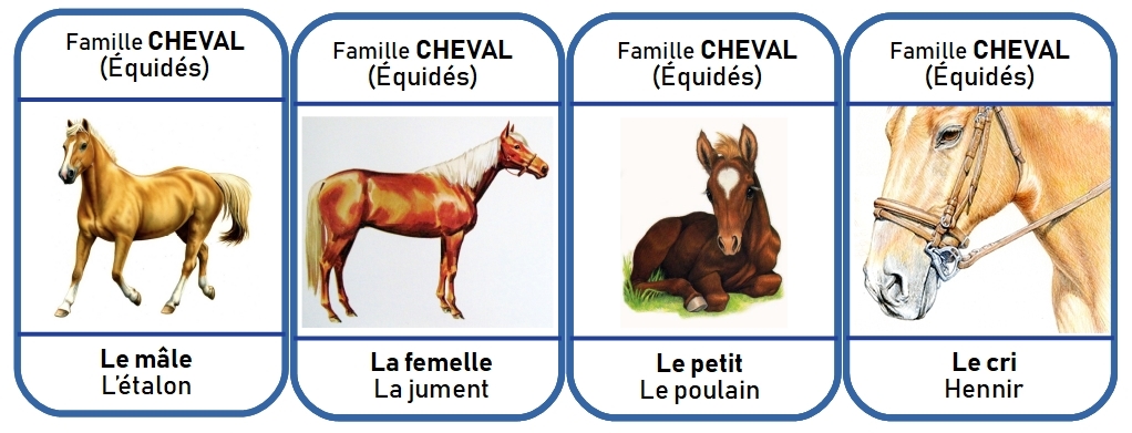 Jeu de 7 familles : les animaux {Printable} - Merci qui ? Merci ...
