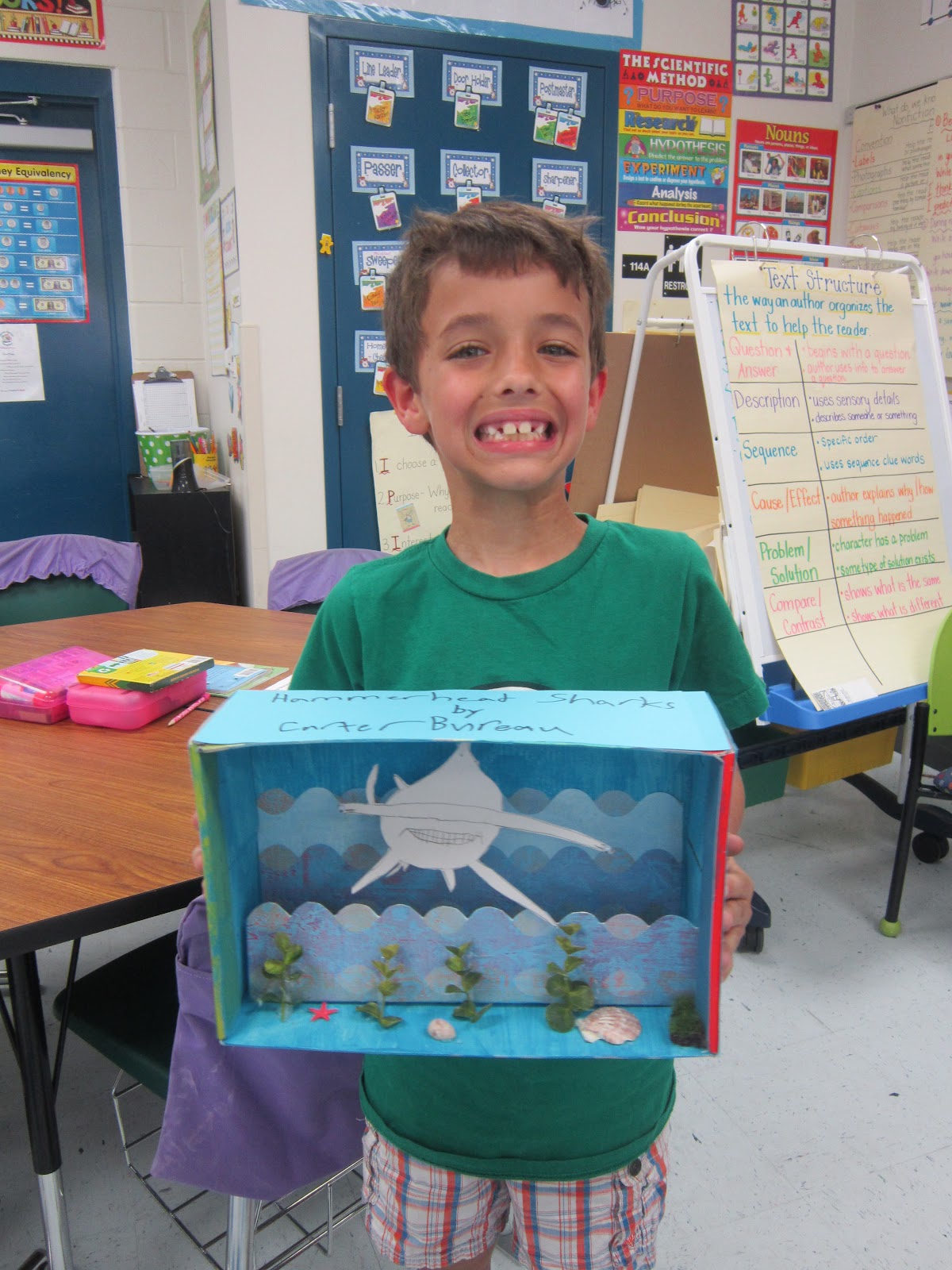 Mrs. Pacciano's Post: Look at these Habitat Dioramas