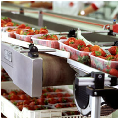 Cuidado y elaboración de alimentos : Procesamiento de alimentos