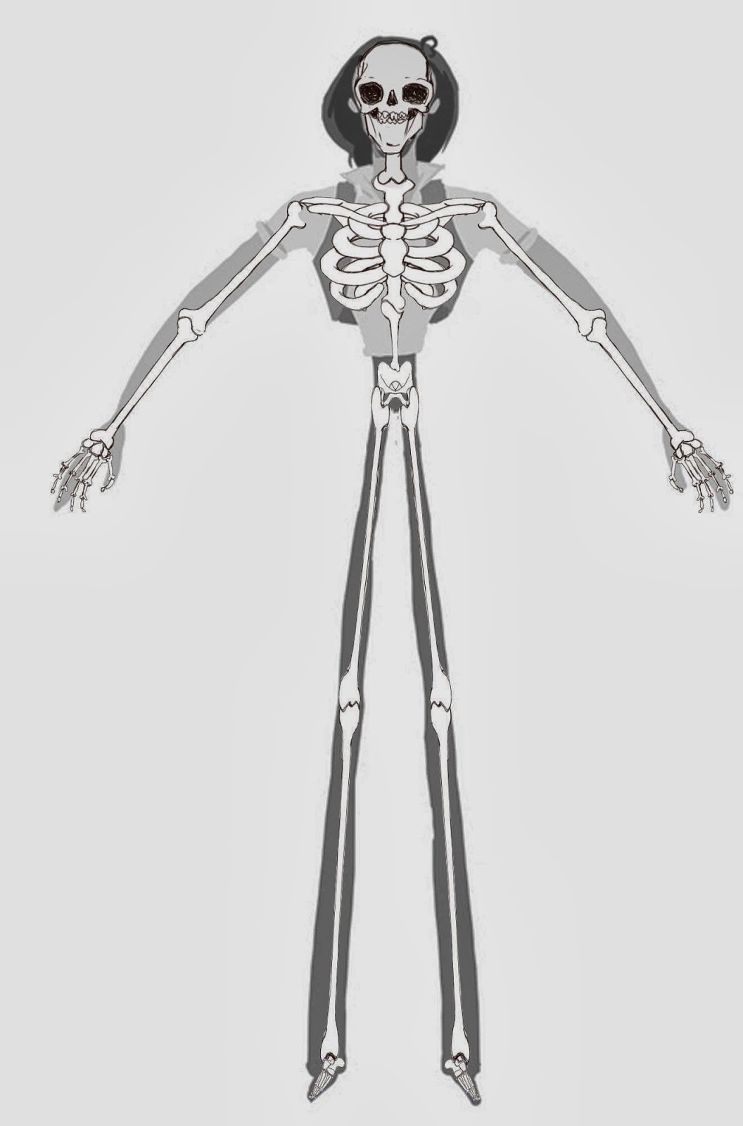 Ram's Horn: Skeleton Base Design