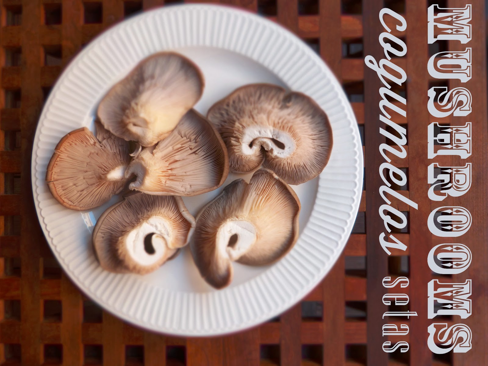 na Companhia do Gato: Spanish Food Wednesday 9 :: Setas a la plancha