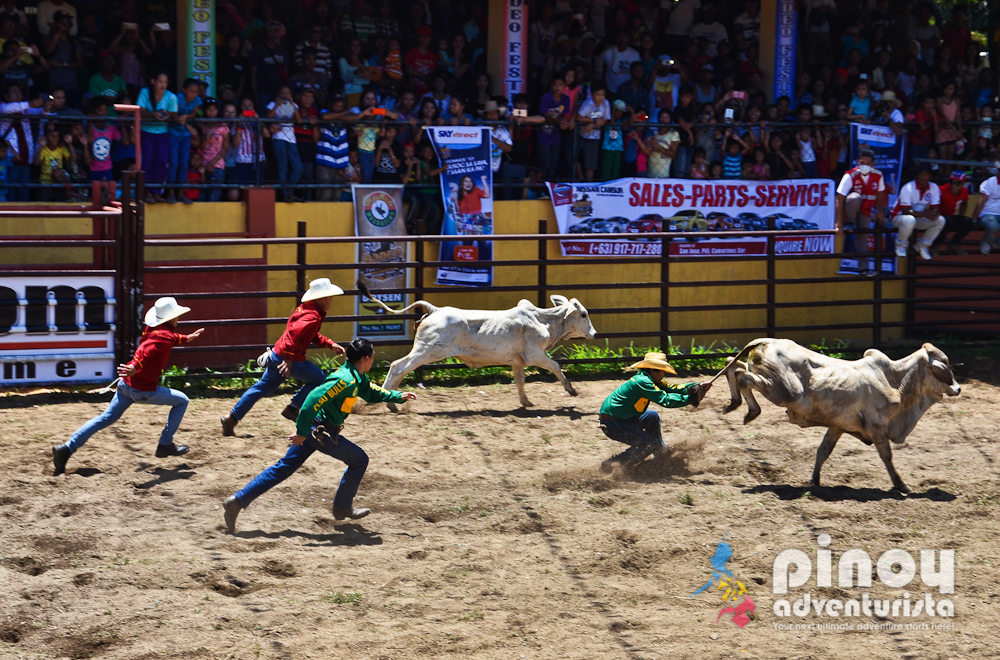 RODEO FESTIVAL Experience in Masbate City | Blogs, Travel Guides ...