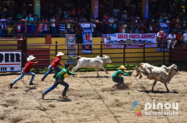 RODEO FESTIVAL Experience in Masbate City | Blogs, Travel Guides ...