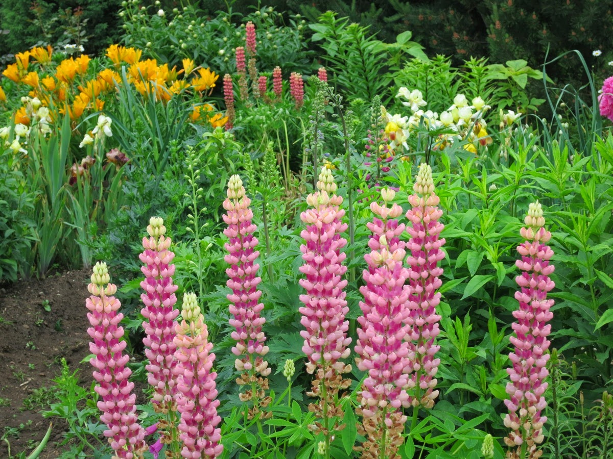 ajakaja: Hüvasti, kevad!