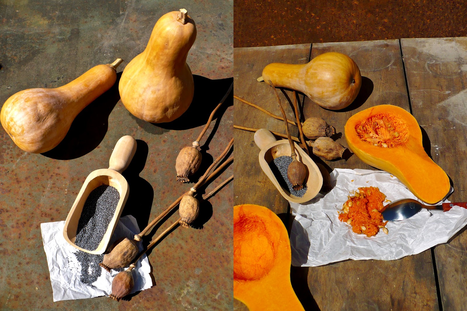 Juditka konyhája: TÖKÖS - MÁKOS RÉTES