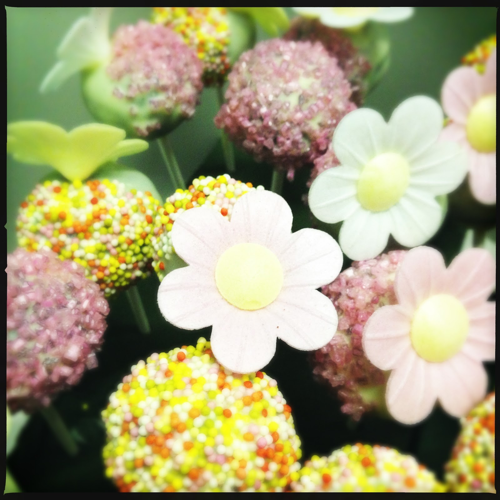 I Bake on Mondays: Daisy Cake Pops