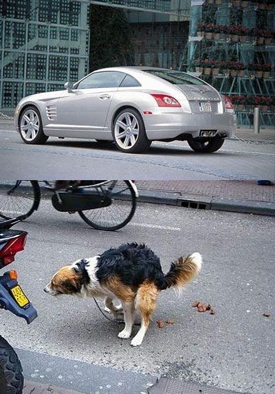 This Cars Looks Like Animals Part 1 | tak lawak pun?!