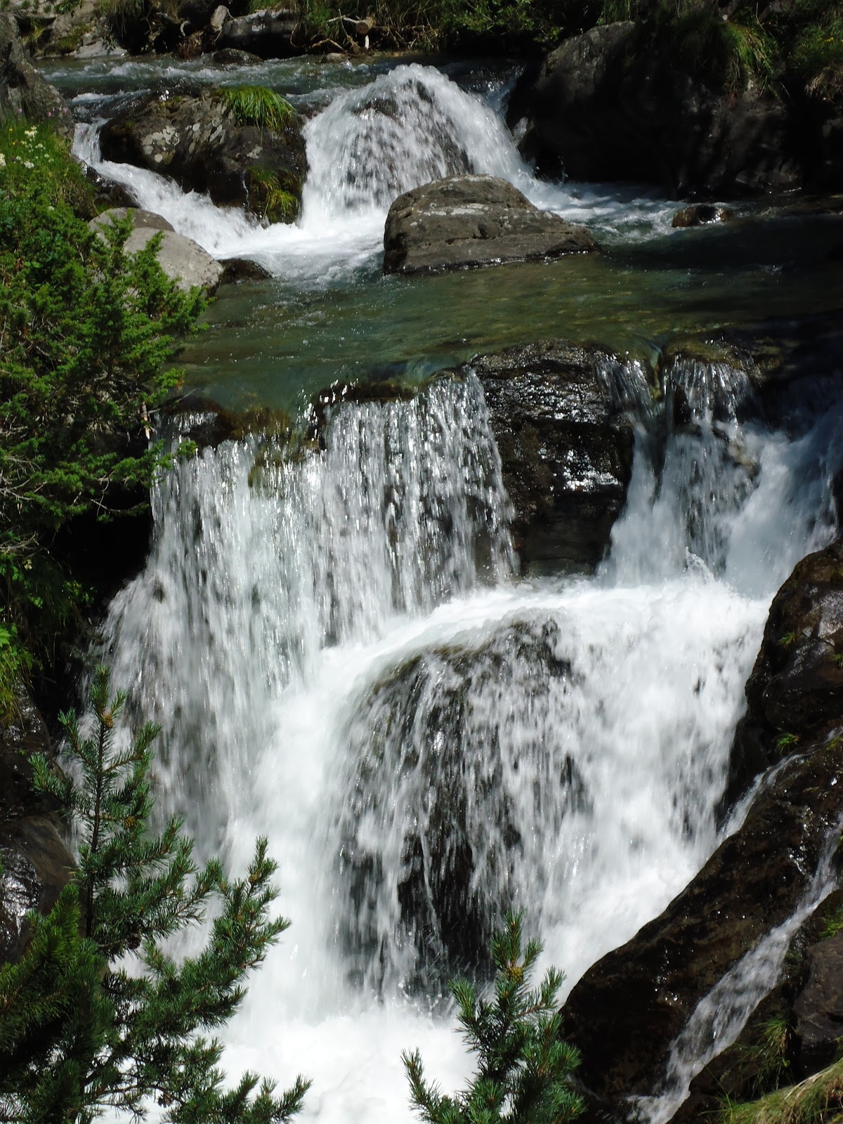 Le Blog "PYRENEES et NATURE" de Benjamin JOFFRE: 31/7/2011: Vallée du ...