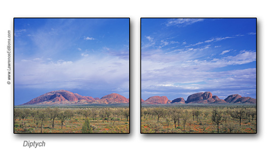 Advanced photog: Diptych and Triptychs