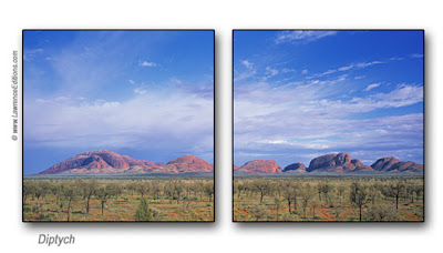 Advanced photog: Diptych and Triptychs