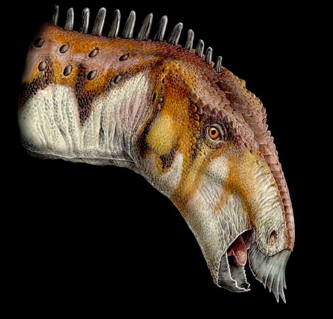 Ilústranos... Davide Bonadonna | Dinosaurios (El Cuaderno de Godzillin)