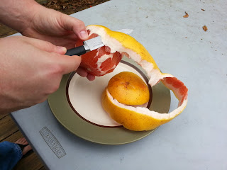How to Section Grapefruit Like an Expert