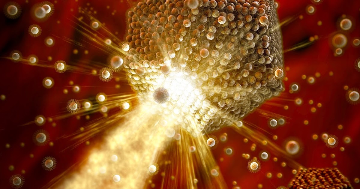 Rosa Rubicondior: Just Another Example of the 'Impossible' Happening