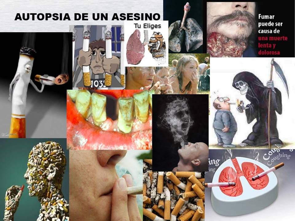 EL TABAQUISMO Y SU EFECTO EN LA RESPIRACIÓN: LA VIDA CON Y SIN EL TABACO