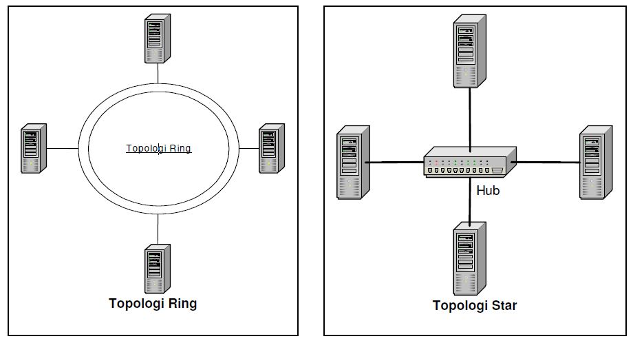 Ameliya Sinta: Tipe Jaringan dan Topologi Jaringan