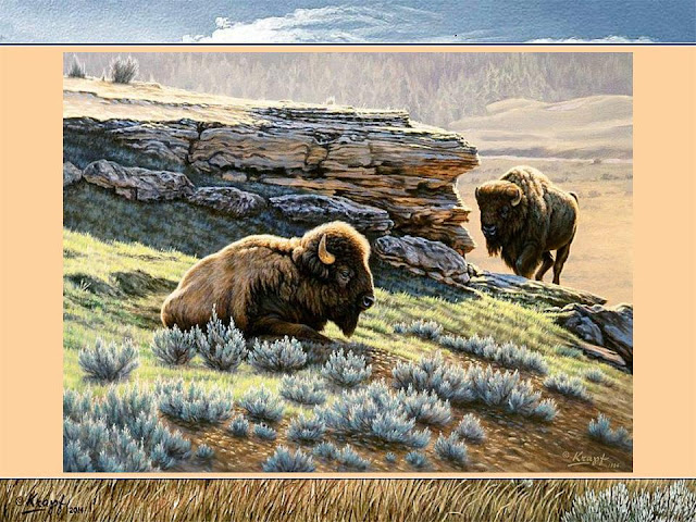 Soloillustratori: Paul Krapf