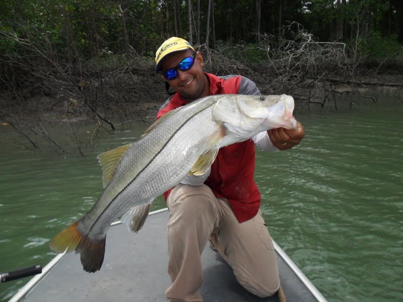 Conhecendo Santos e o Mundo: Peixes e Frutos do Mar