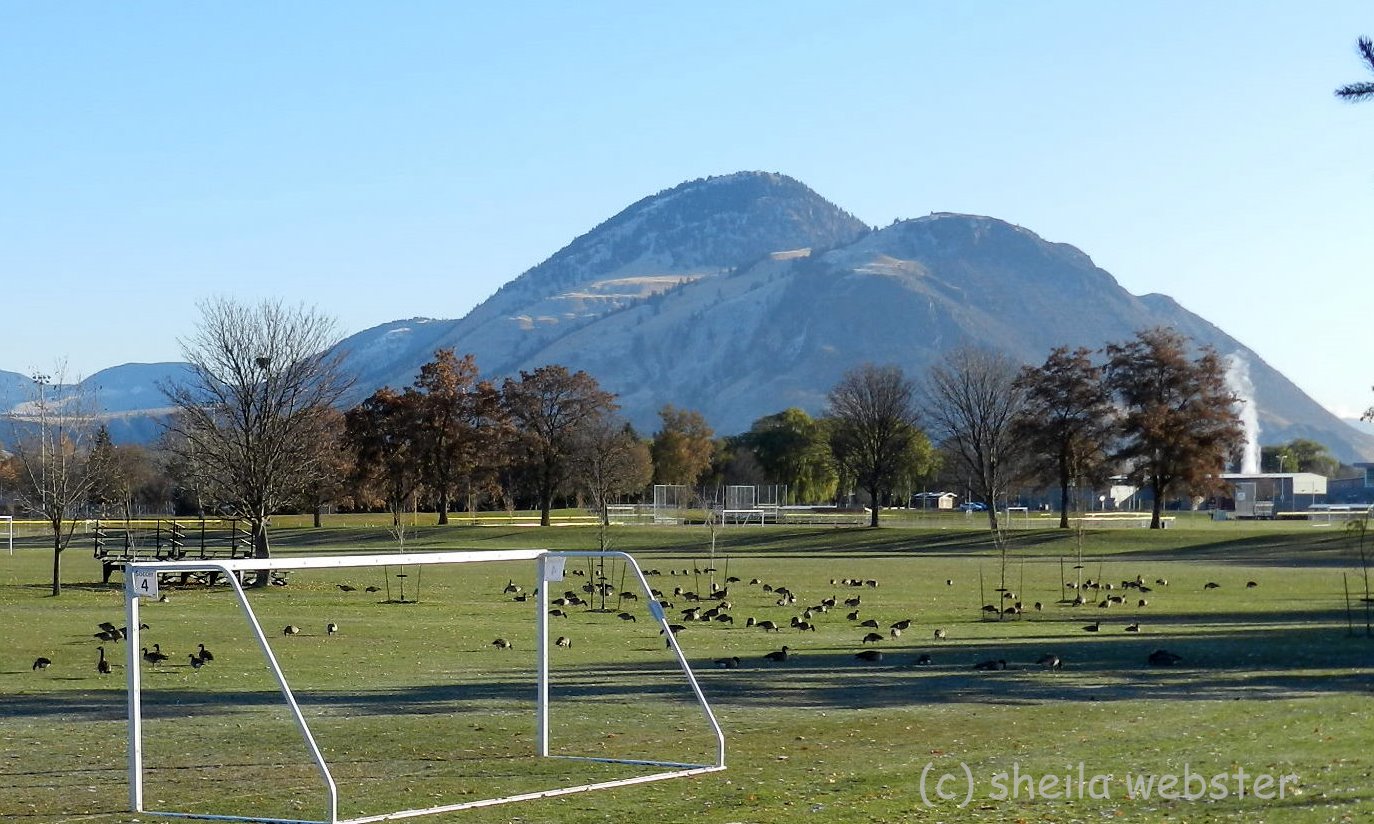 we-love-kamloops: McArthur Island Park ~ Autumn ~ Kamloops, BC