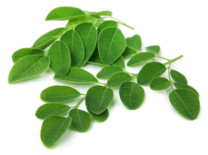 Star bene ...naturalmente: Moringa oleifera