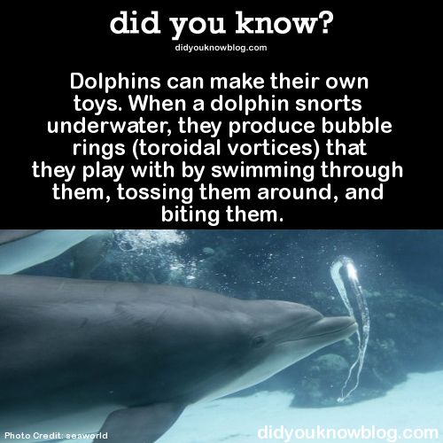 60 Amazing Weird And Interesting Random Facts | Amazing WTF Facts