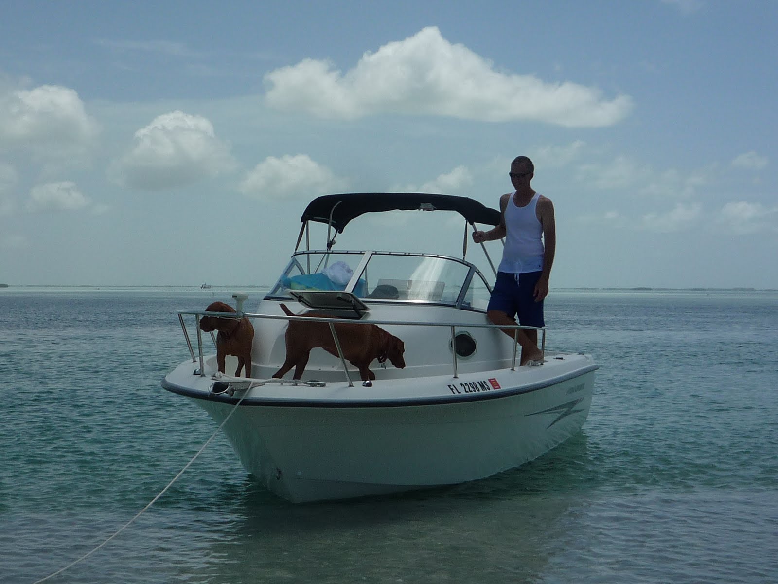 Zuzu and Tootie's Journey: Swimming near Marvin Key