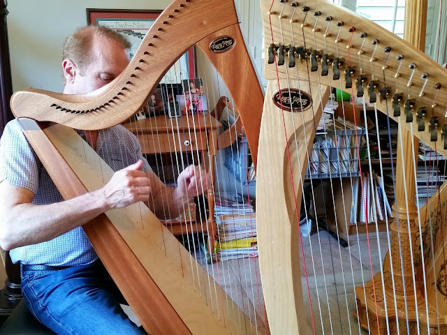 HARP IN LA BLOG: DUSTY STRINGS RAVENNA 34 AND CRESCENDO 34