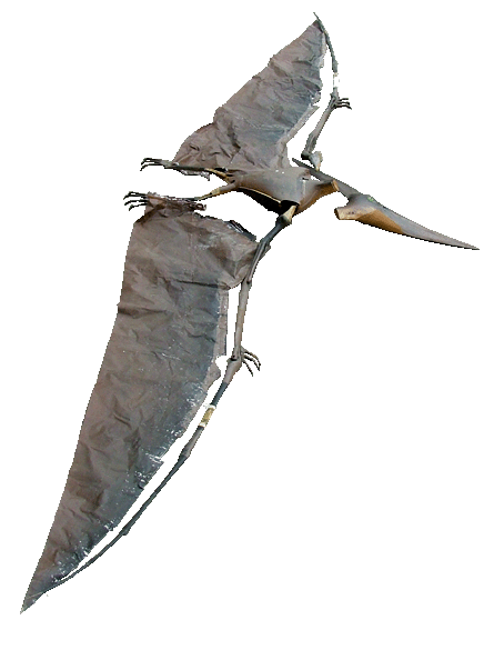The Pterosaur Database: March 2011