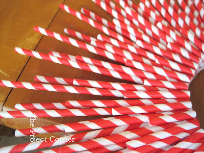 The Project Corner: Paper Straw Wreath