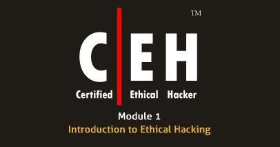 CEH v8 Module 1 - Introduction to Ethical Hacking | Le geek informatique