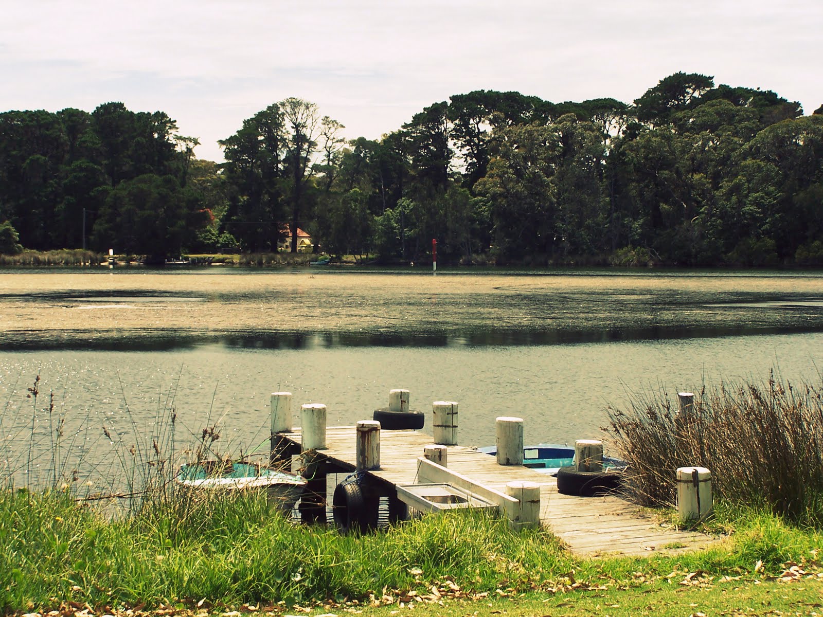 A Wild Tea Party: December 2011