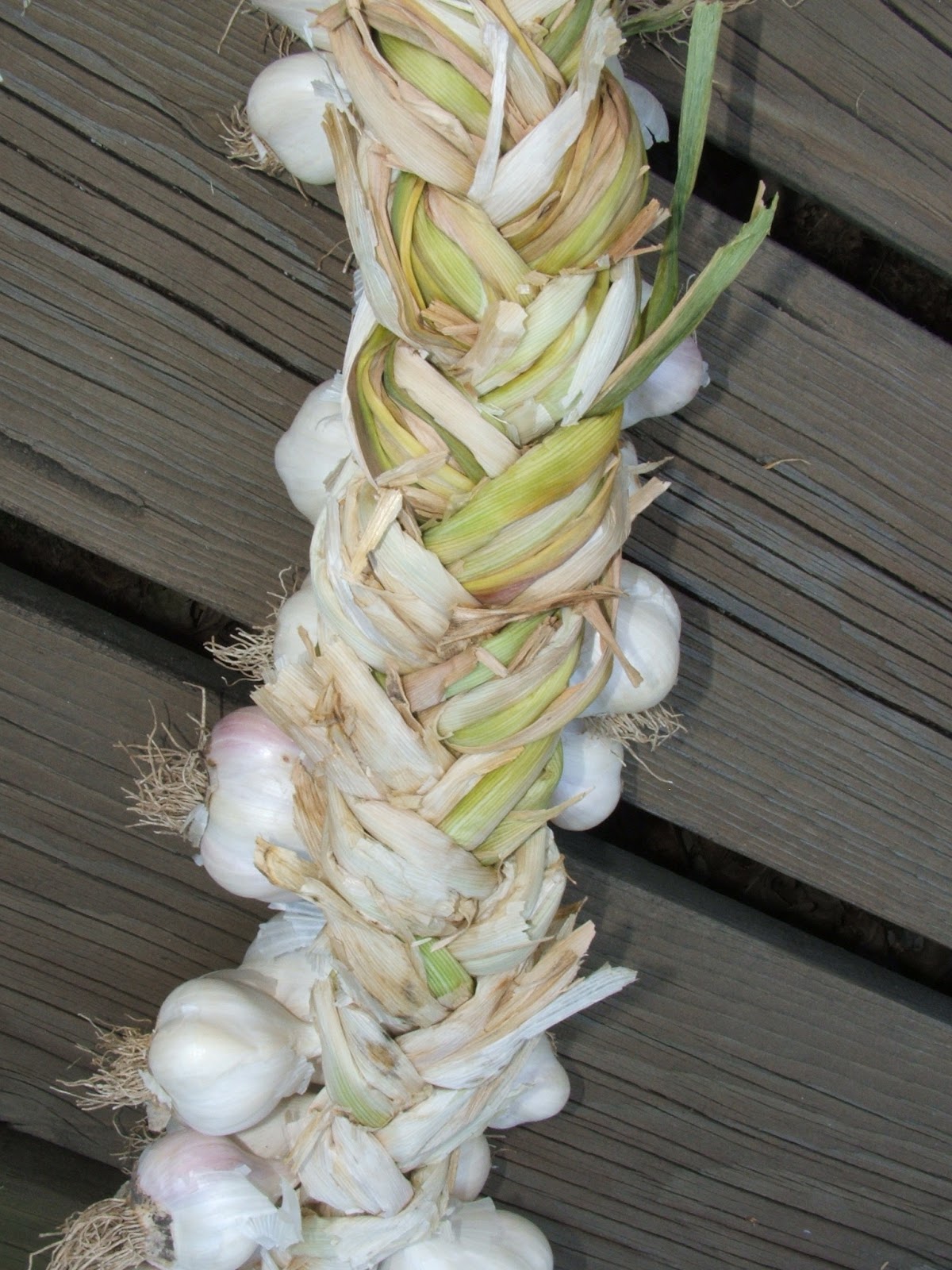 Green Zebra Market Garden: Braided Garlic