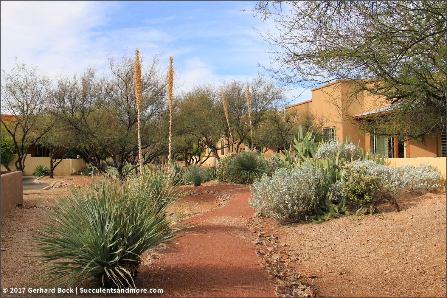 Tucson's Civano community: where I'd love to live