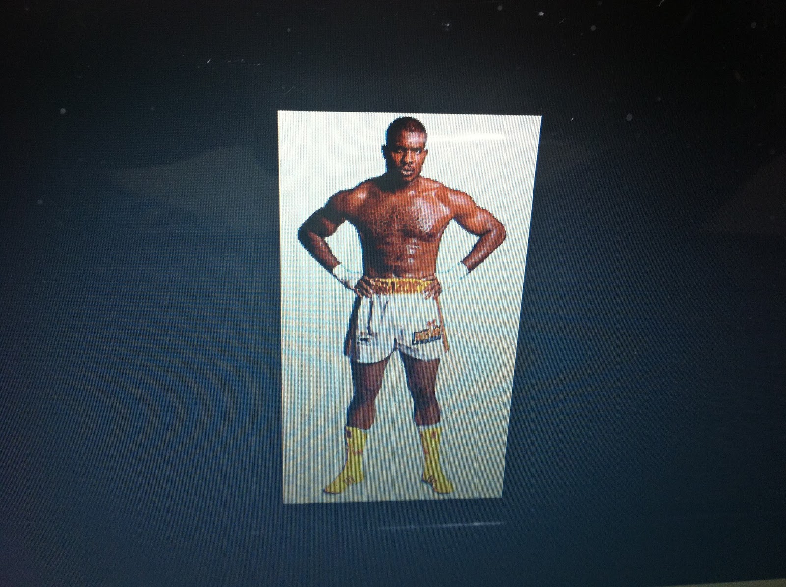 THE BLACK SOCIAL HISTORY:: BLACK SOCIAL HISTORY : AFRICAN CANADIAN ...