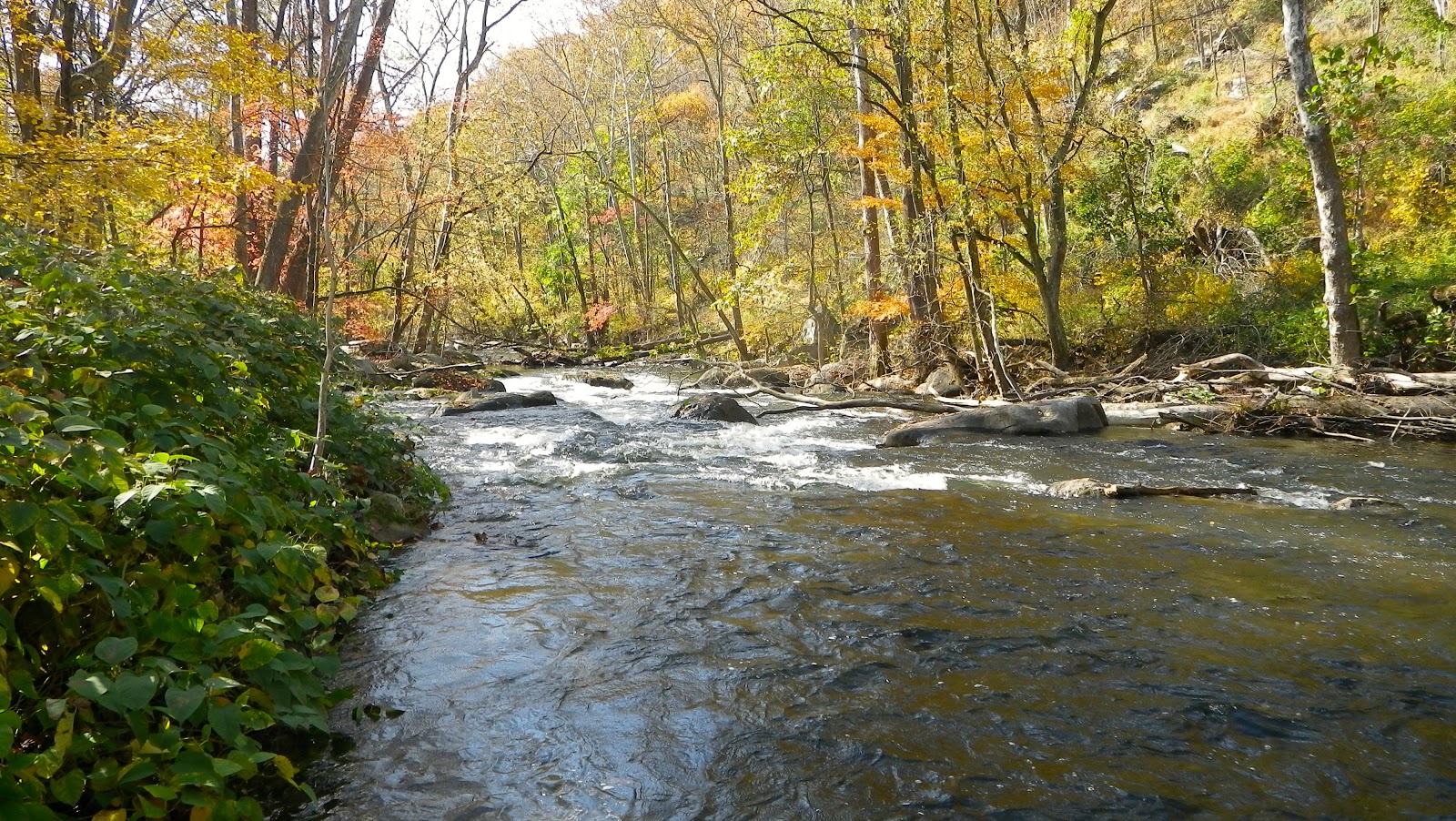 Musconetcong Gorge