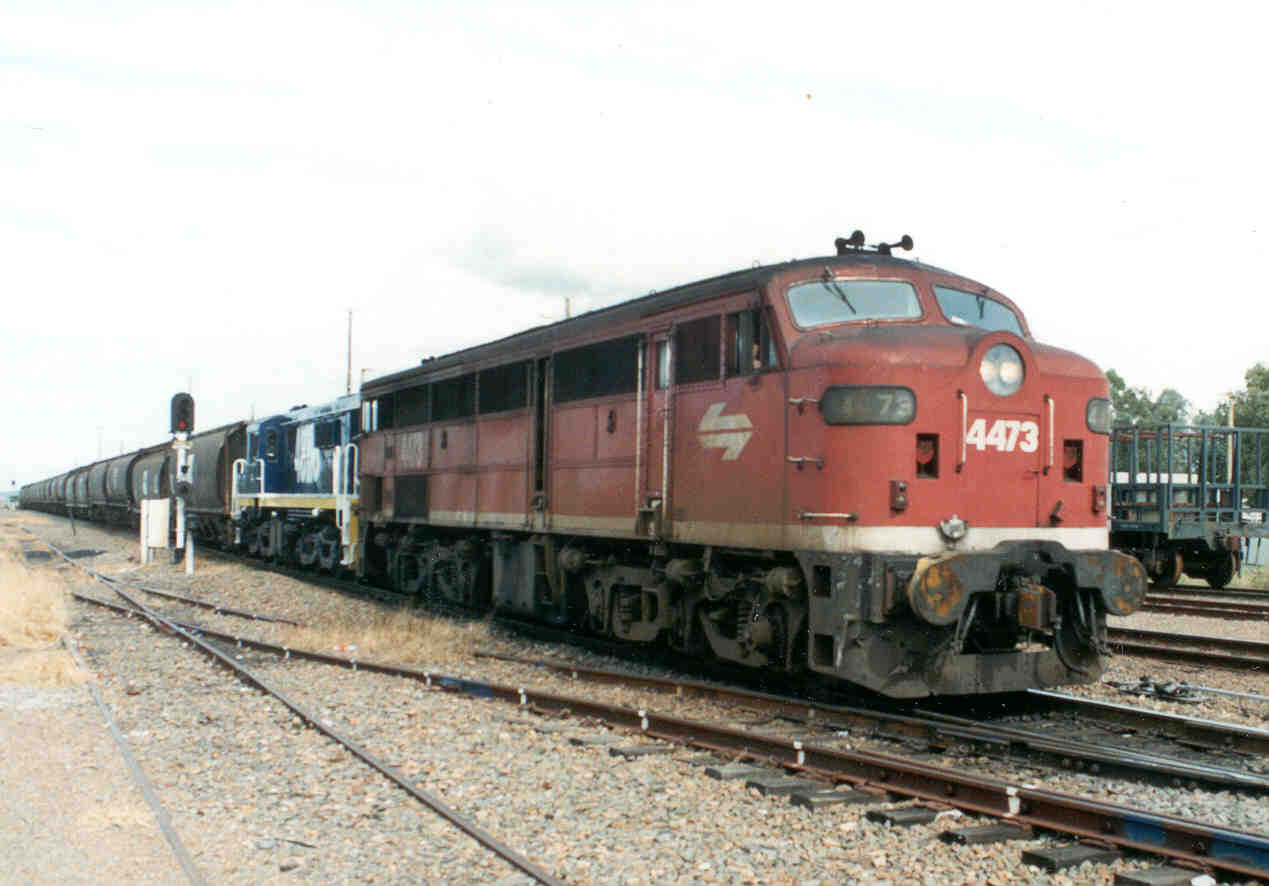 NSW Rail Rambler: 4473