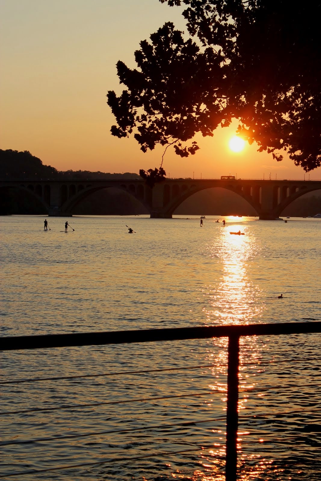 Here and There: Riding the Waves of the Potomac