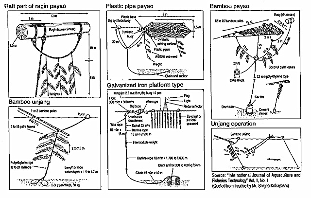 Design of Artificial reef in Chile