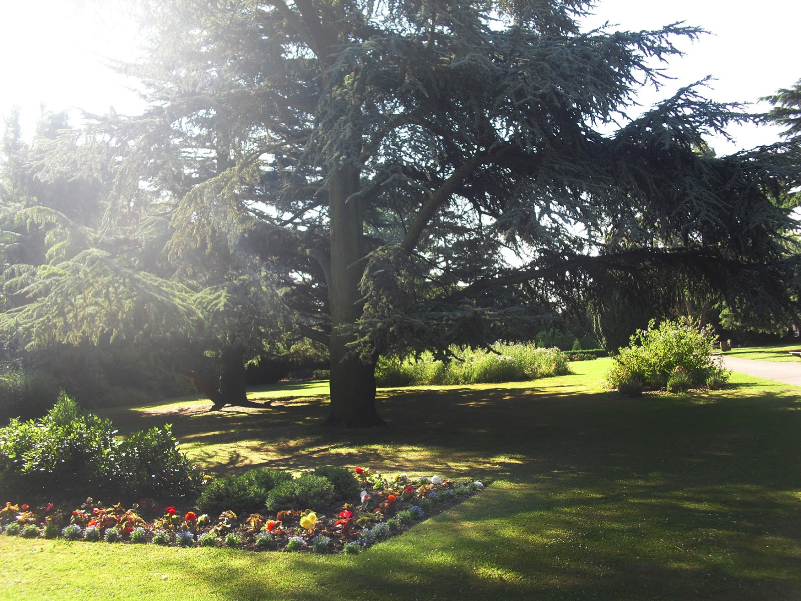 We love Florence Park: We LOVE Summer in Florence Park!