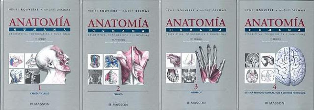 Rouviere Anatomia humana COMPLETO PDF