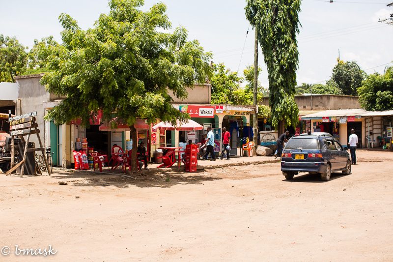 Y'all Come On In The Door's Open: Lake Manyara National Park-Africa