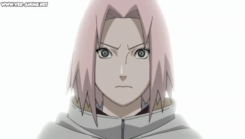 Todo el Anime: naruto 208 (mu)