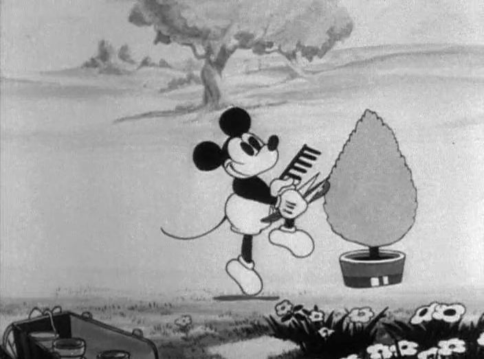 Tralfaz: A Bird in the Bush