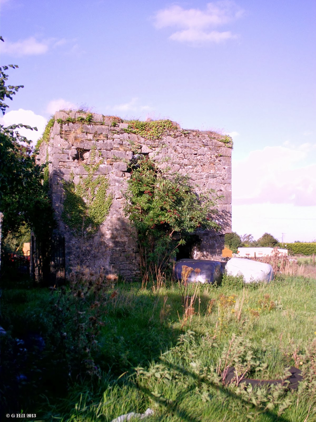 Ireland In Ruins: Newcastle Lyons Castle Co Dublin