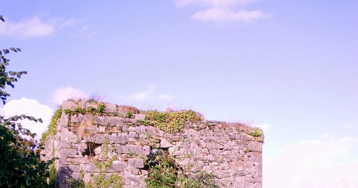 Ireland In Ruins: Newcastle Lyons Castle Co Dublin