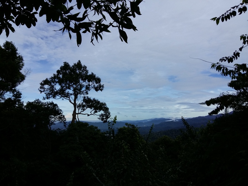 TRAVELOG: GUNUNG ANGSI : Pernah Masuk Guinness World Records