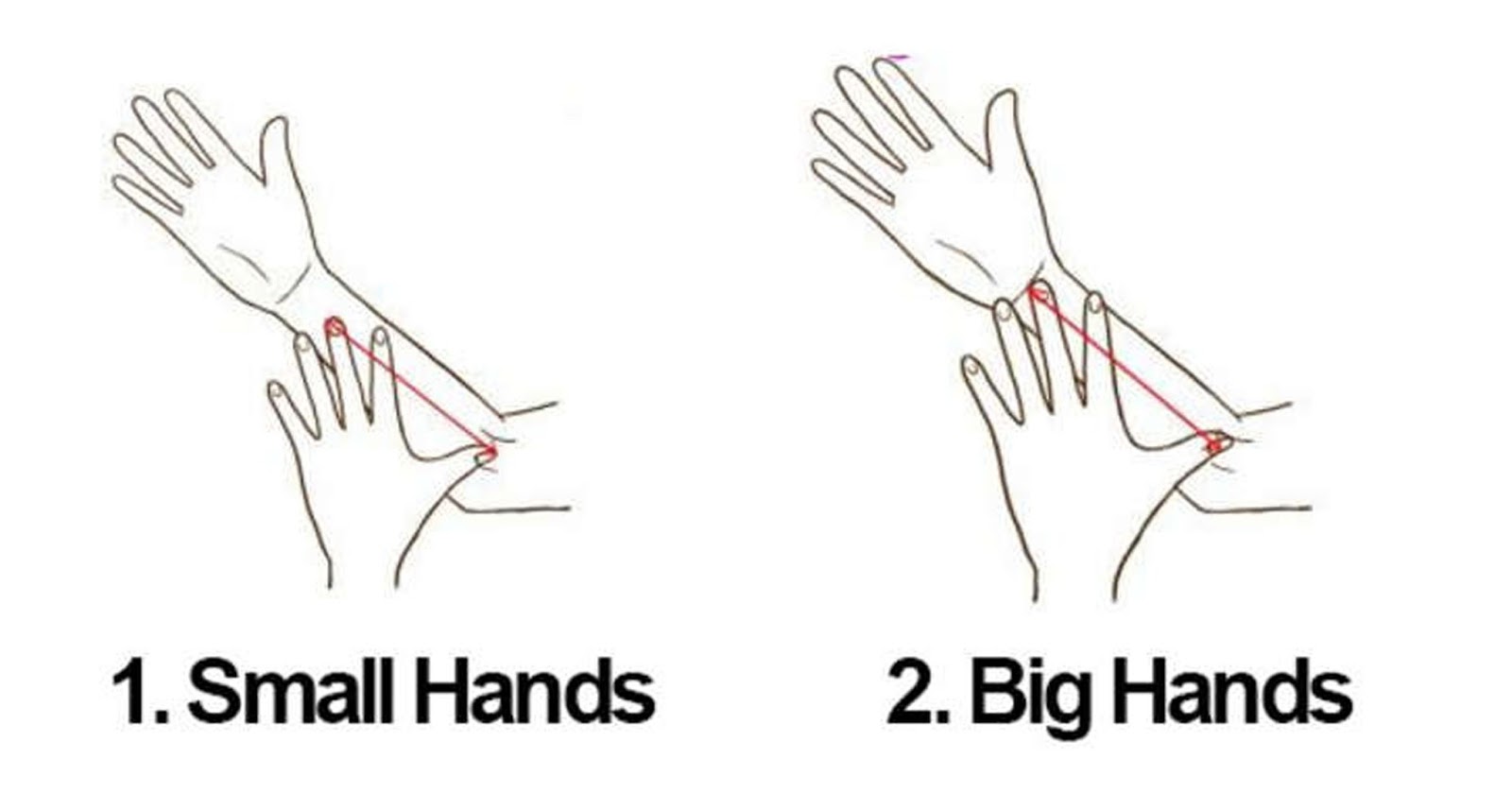 Hand Size Says A Lot About Your Personality The Discover Reality hand-size-says-a-lot-about-your-personality-the-discover-reality