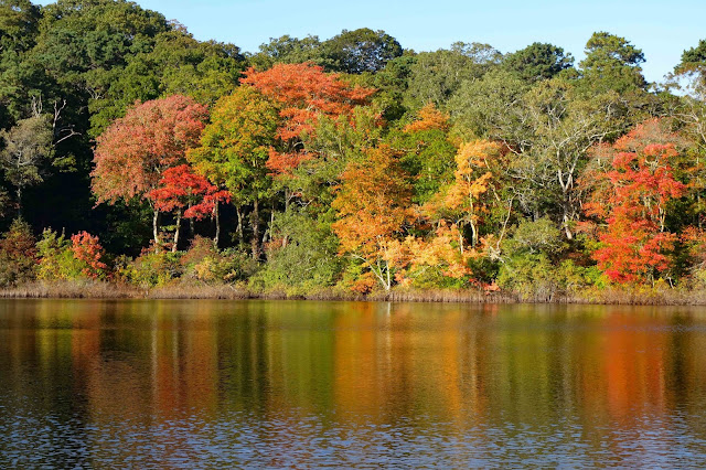 Joe's Retirement Blog: Rabbit Pond Revisited, Manomet, Plymouth ...