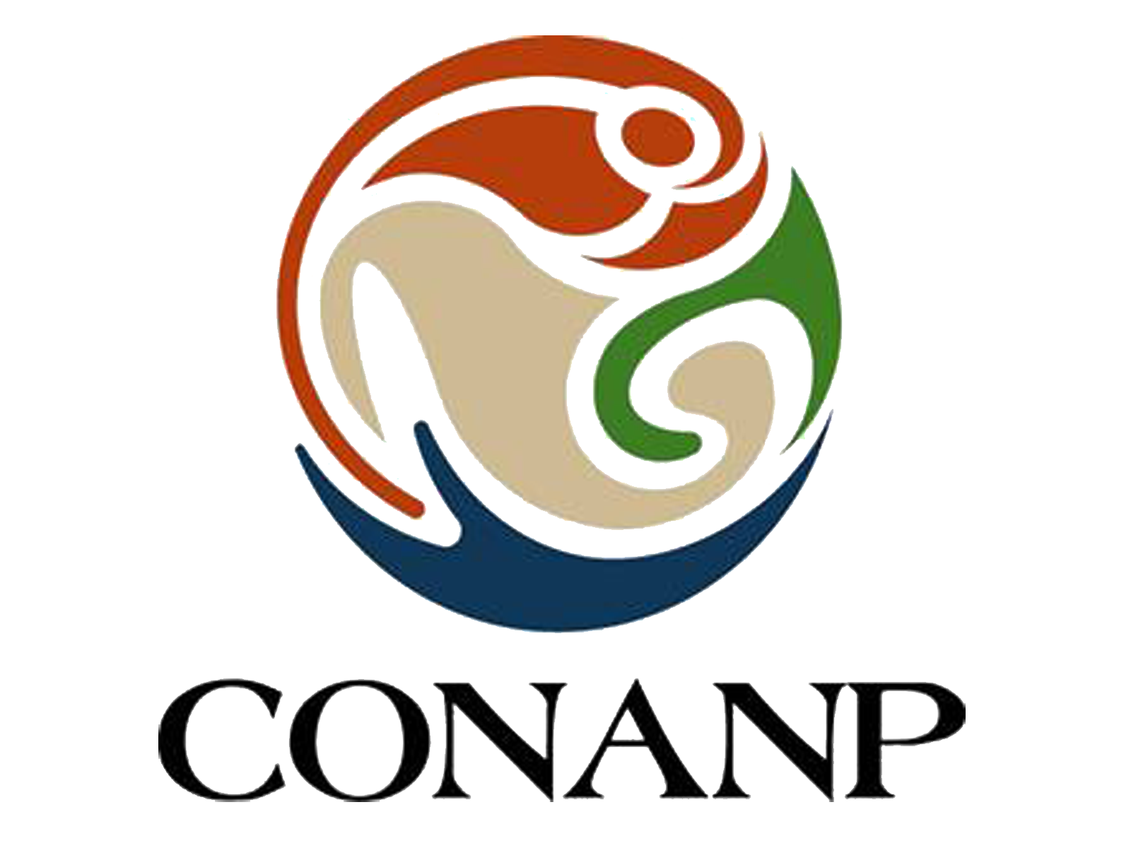 Rumbo a la profundidad: Parque Nacional Arrecifes de Cozumel