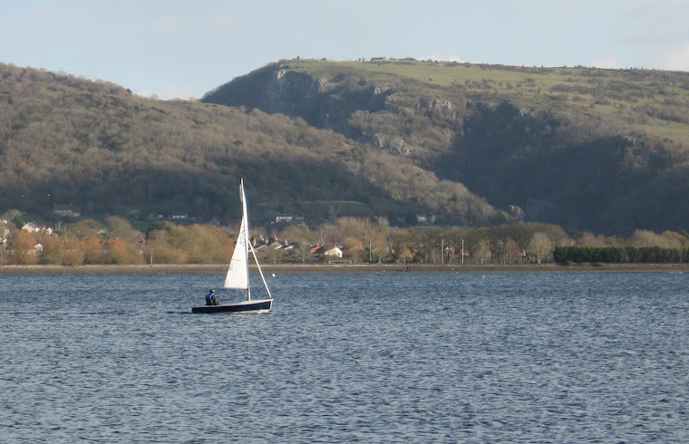Muttley - Gull dinghy sailing: Gull dinghy sailing blog by Chris Abela